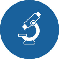 MIPORE – Porous Media across scales @Polimi